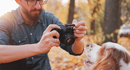 How to Take Great Photos of Your Dog